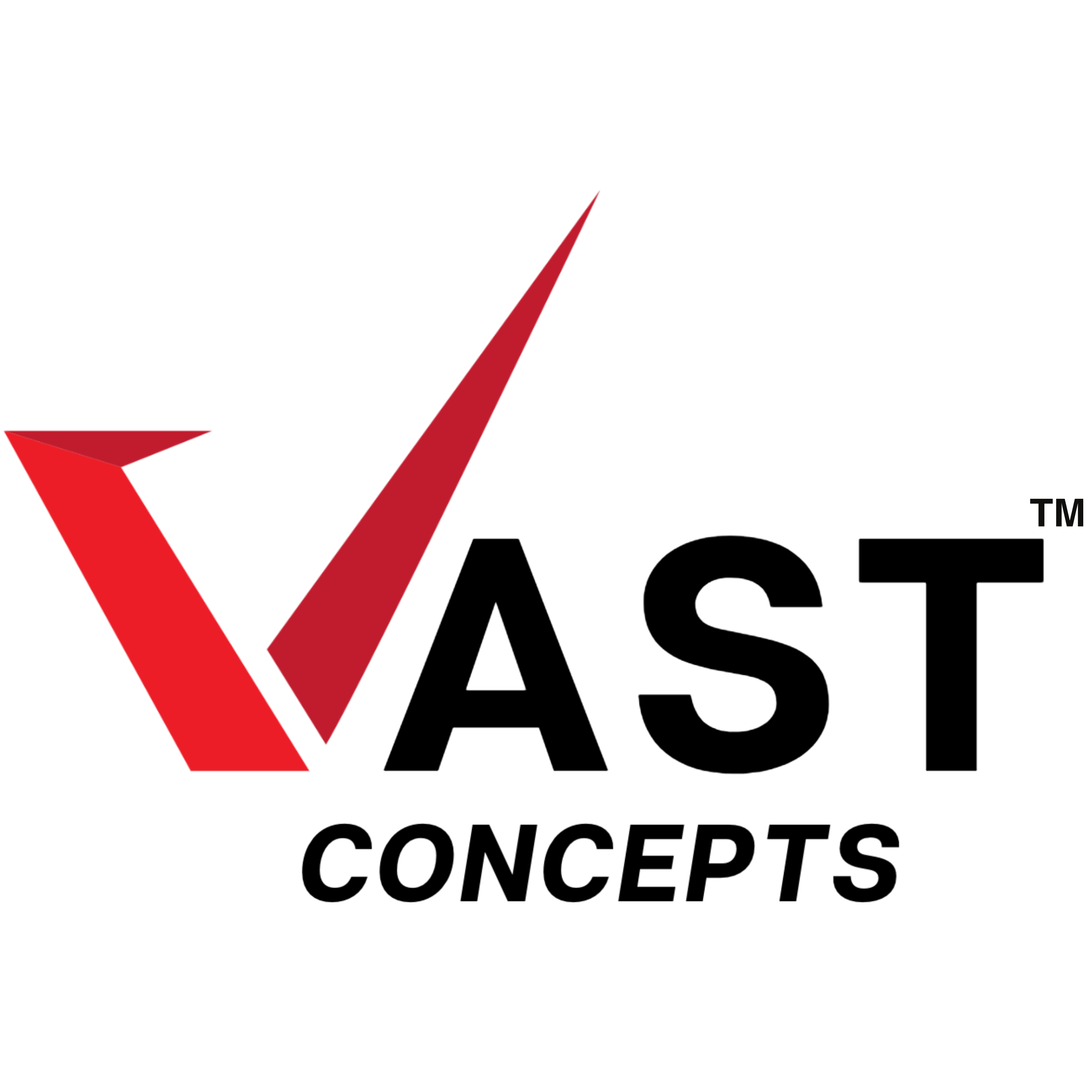 Vast Concepts™